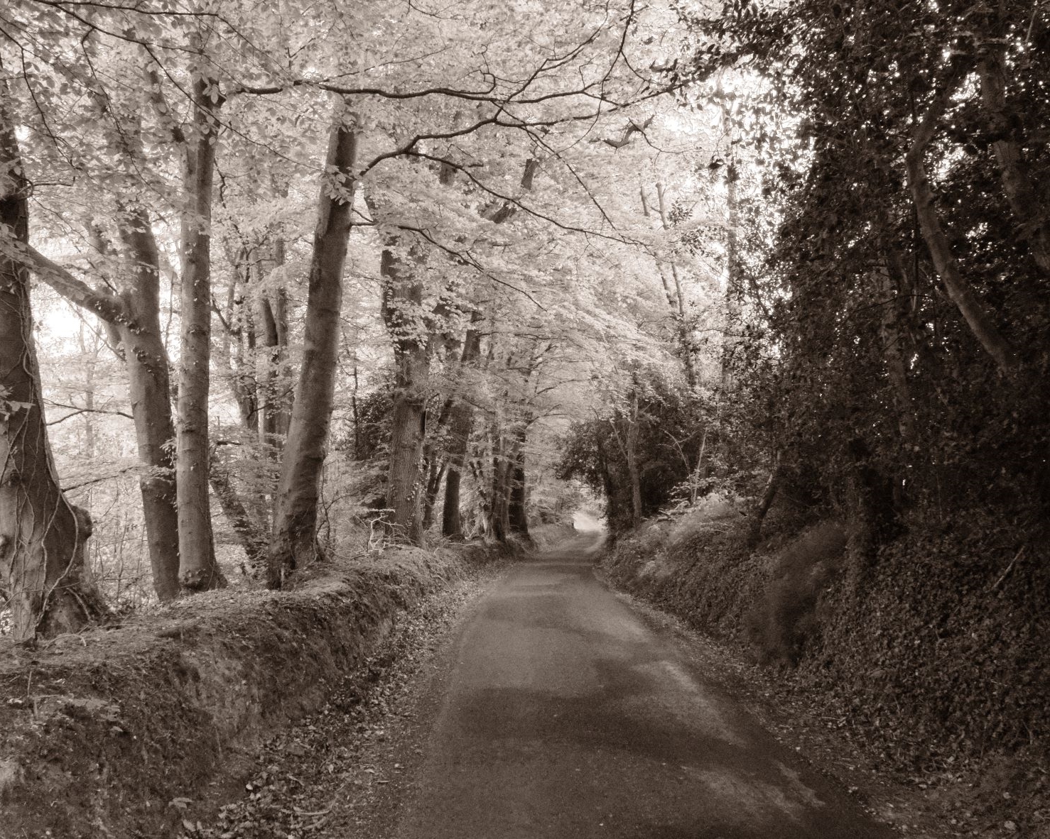 Monotone Film Recipes – Film Recipes for Fujifilm Cameras