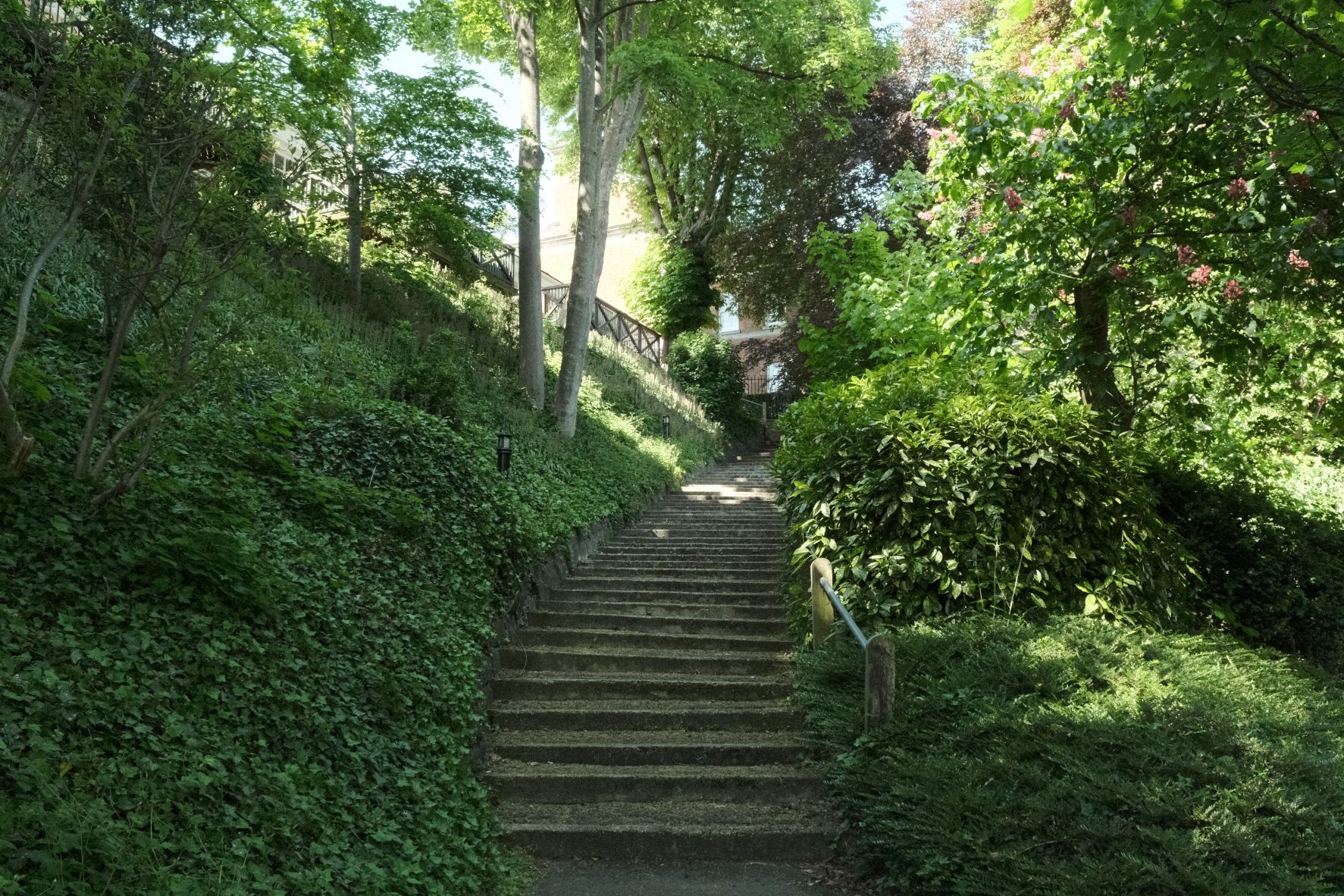 CineStill Daylight for Softening Bright Light – Film Recipes for ...