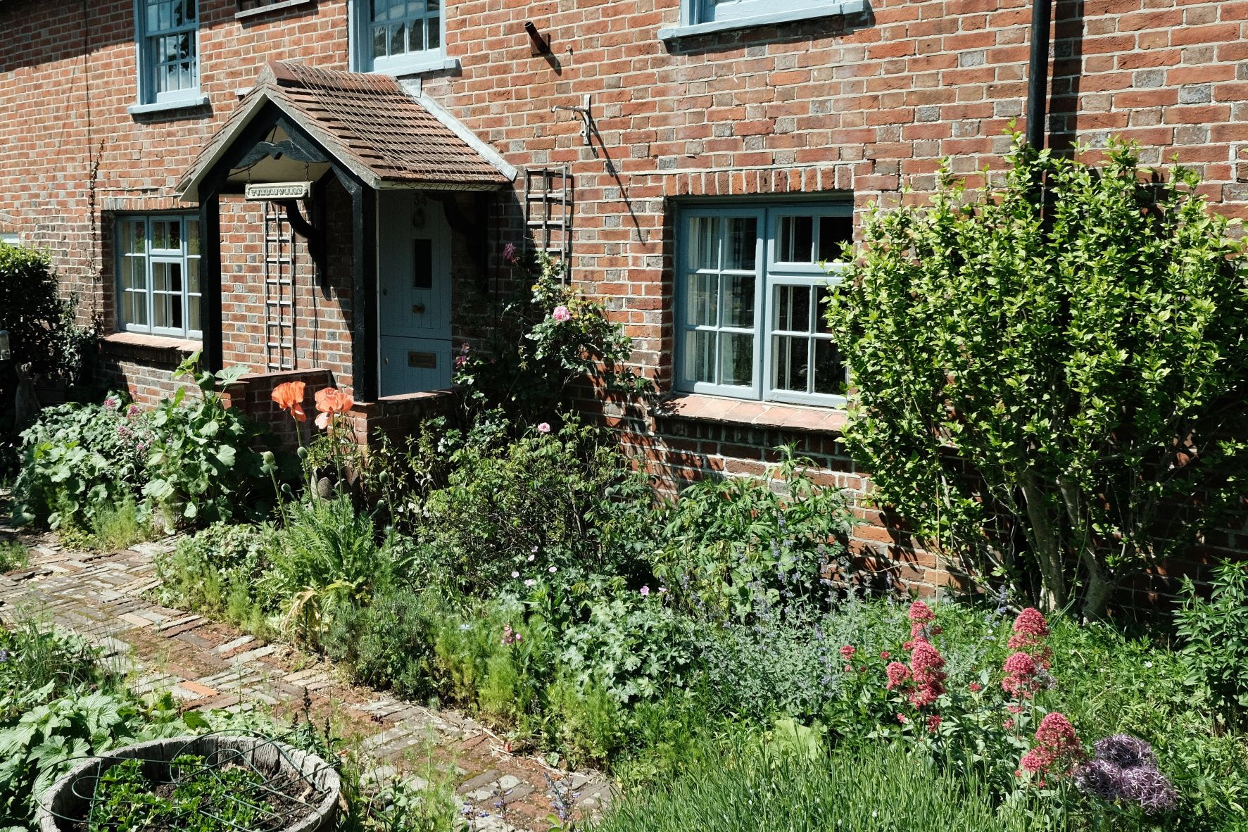 Fujichrome for Bright Classic Chrome – Film Recipes for Fujifilm Cameras