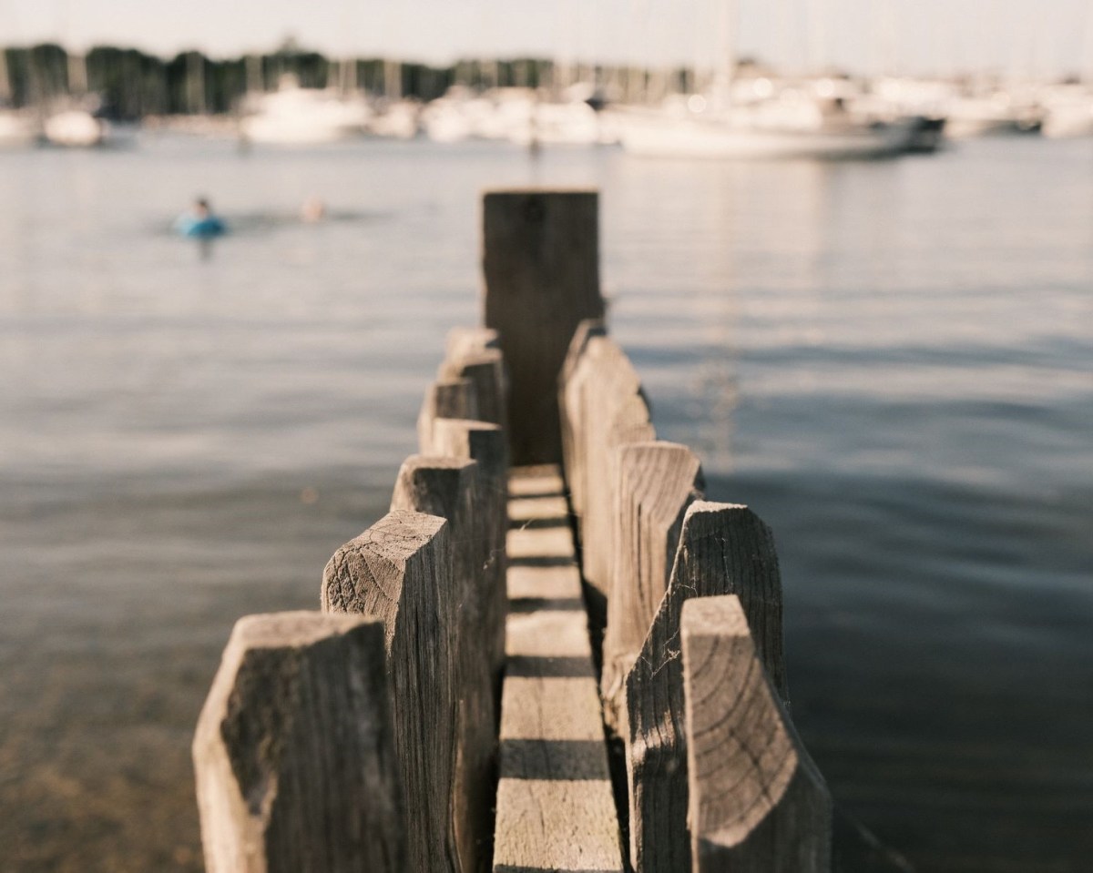 Classic Gold, like Aged & Faded Kodak Gold – Film Recipes for Fujifilm ...