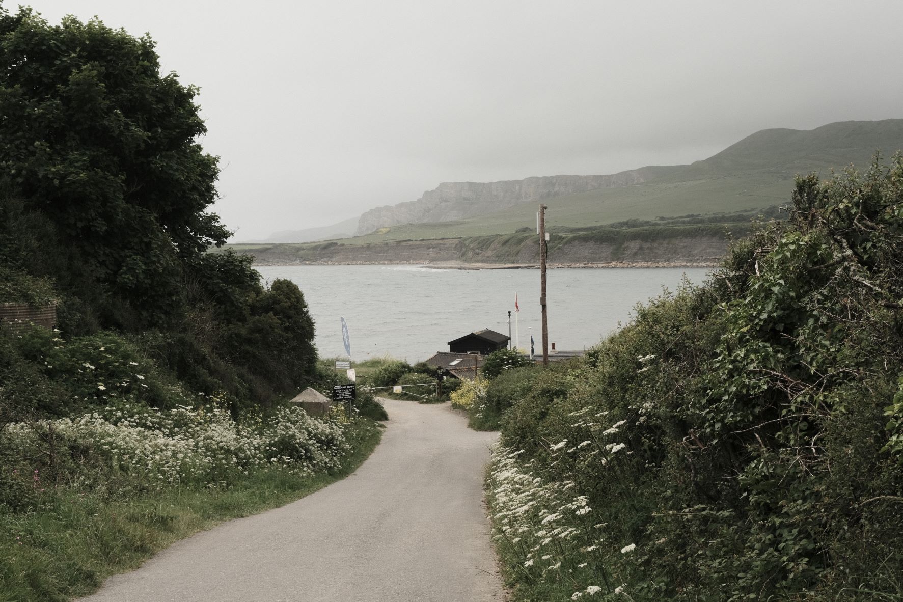 Cinematic Cool with Eterna Bleach Bypass – Film Recipes for Fujifilm ...