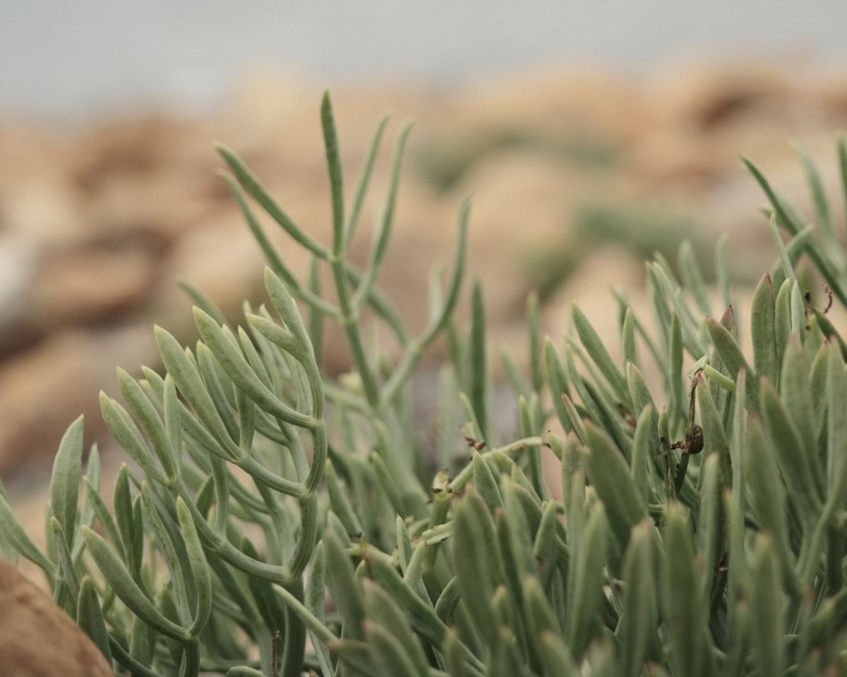 Cinematic Cool with Eterna Bleach Bypass – Film Recipes for Fujifilm ...