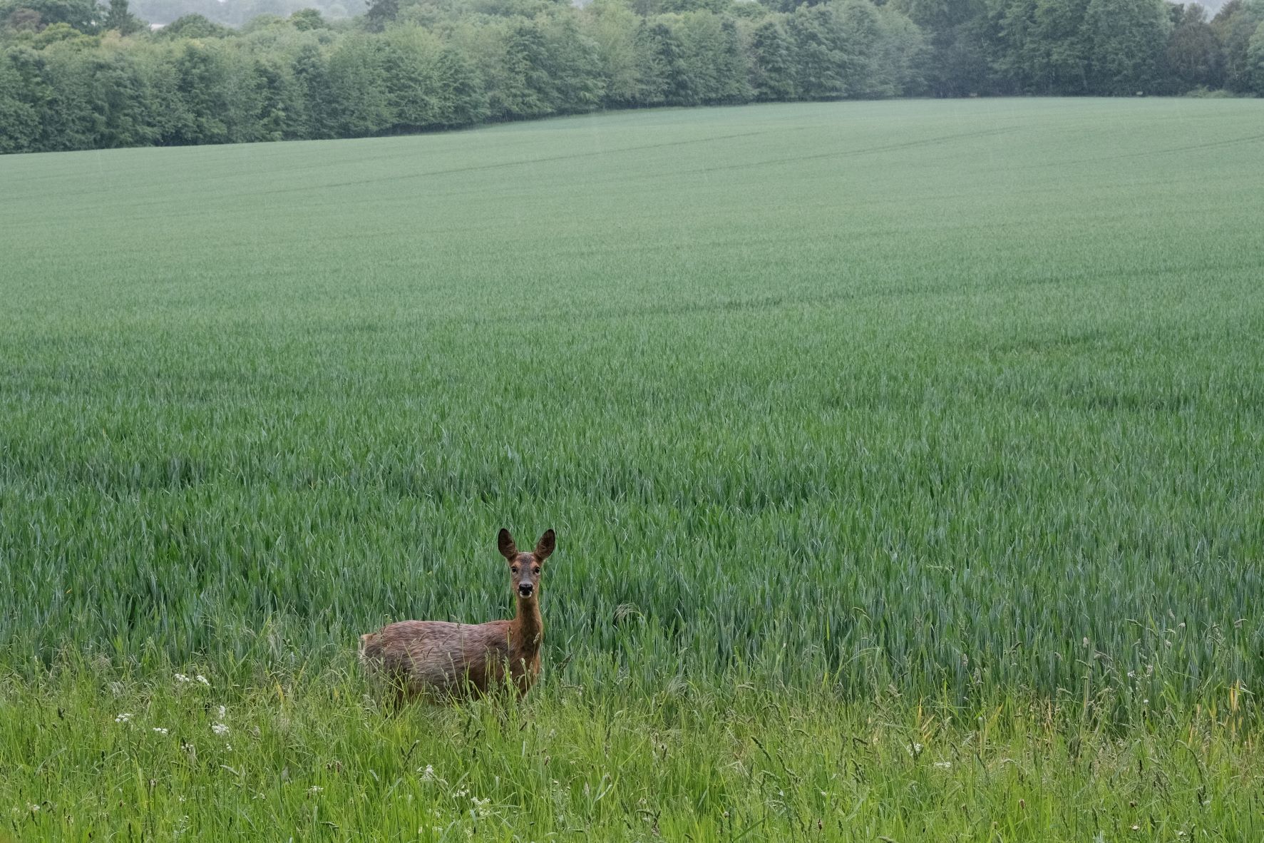 Documentary, to Capture Life As It Is – Film Recipes for Fujifilm Cameras