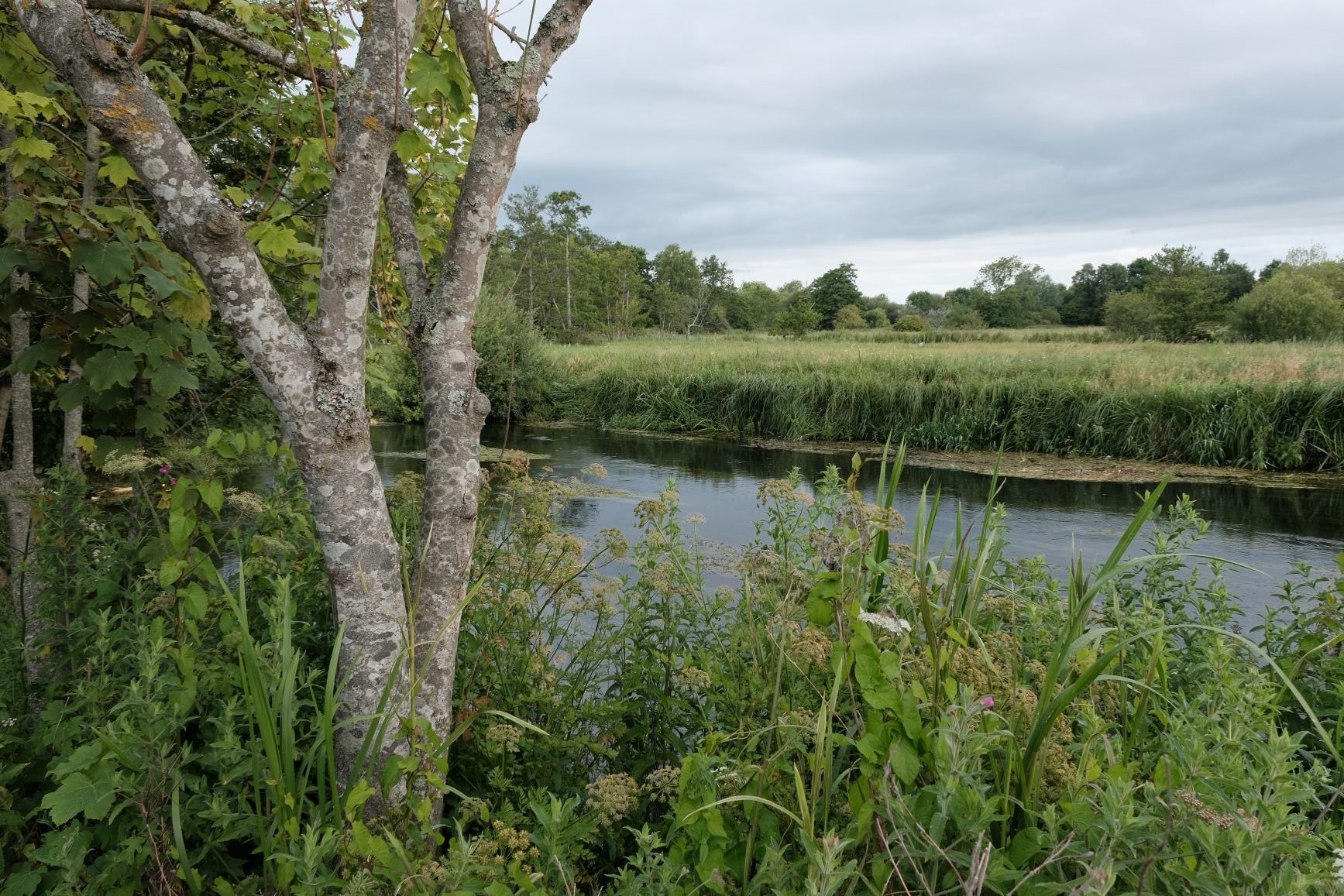 Documentary, to Capture Life As It Is – Film Recipes for Fujifilm Cameras