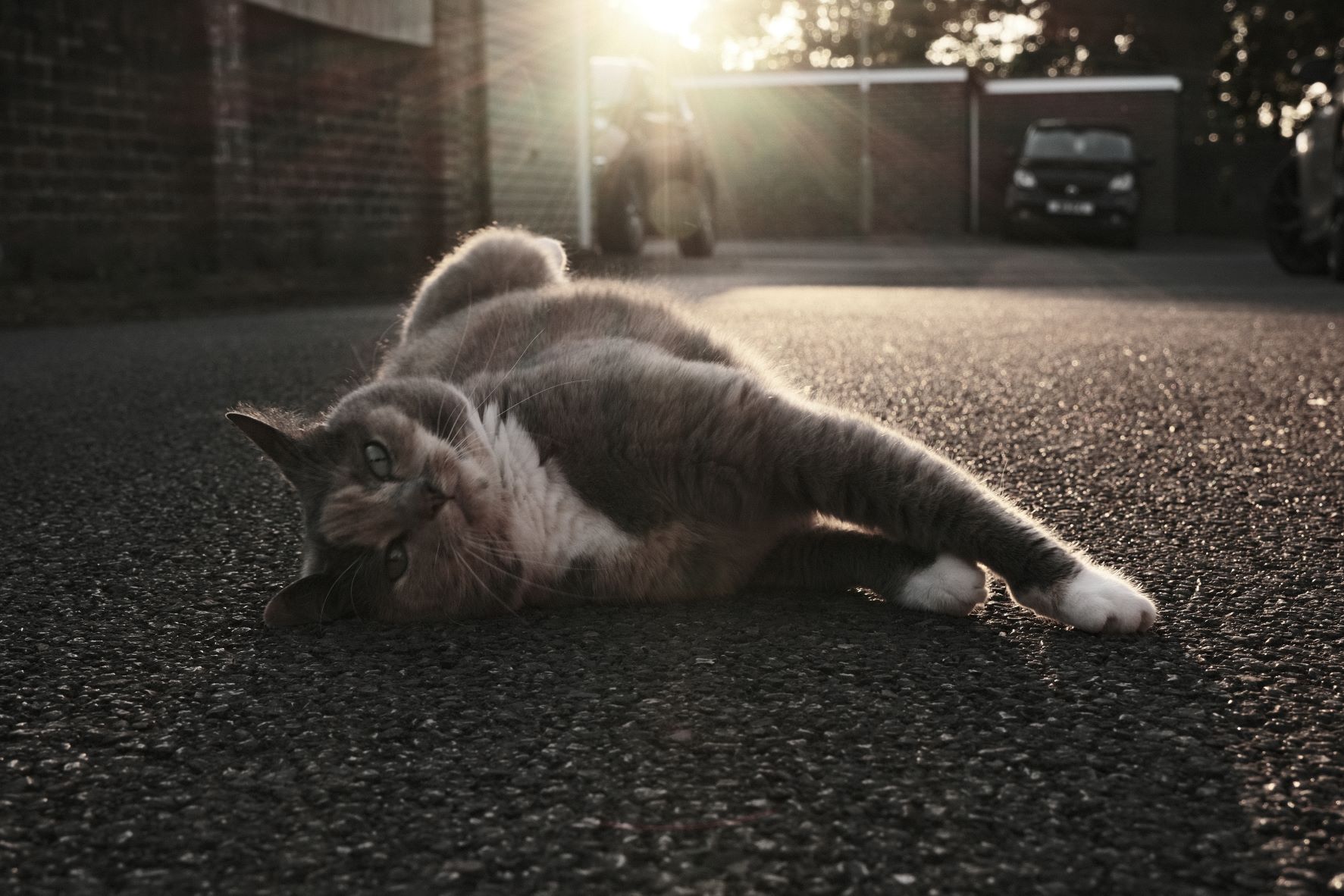 Squid Ink for Deep Dark Tones – Film Recipes for Fujifilm Cameras