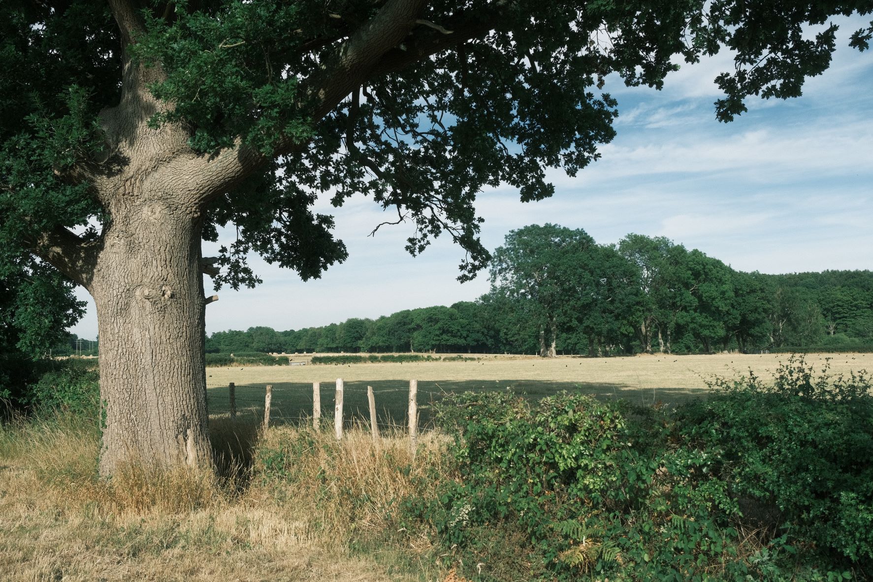 Fuji Five-O, for Life on the Water – Film Recipes for Fujifilm Cameras