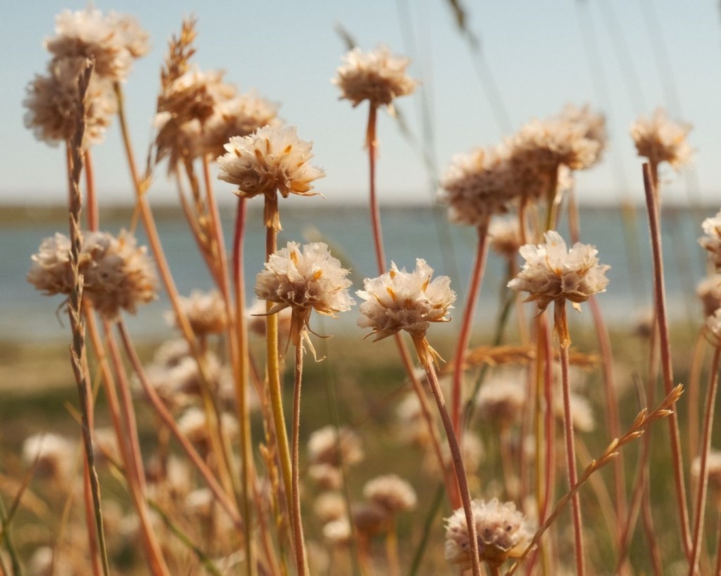 Afternoon Delight, When it’s Right, it’s Right – Film Recipes for ...