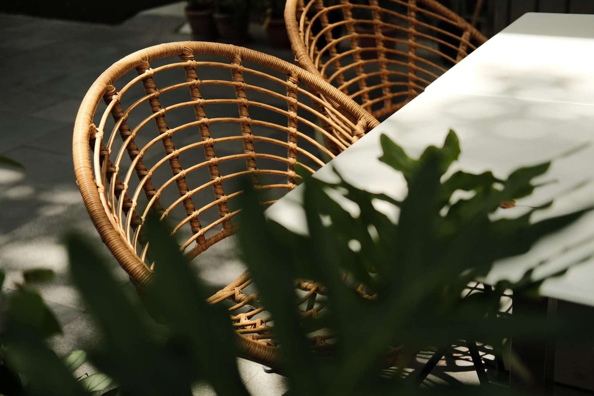 Manila Chrome Film Recipe, by Grant Teng – Film Recipes for Fujifilm ...