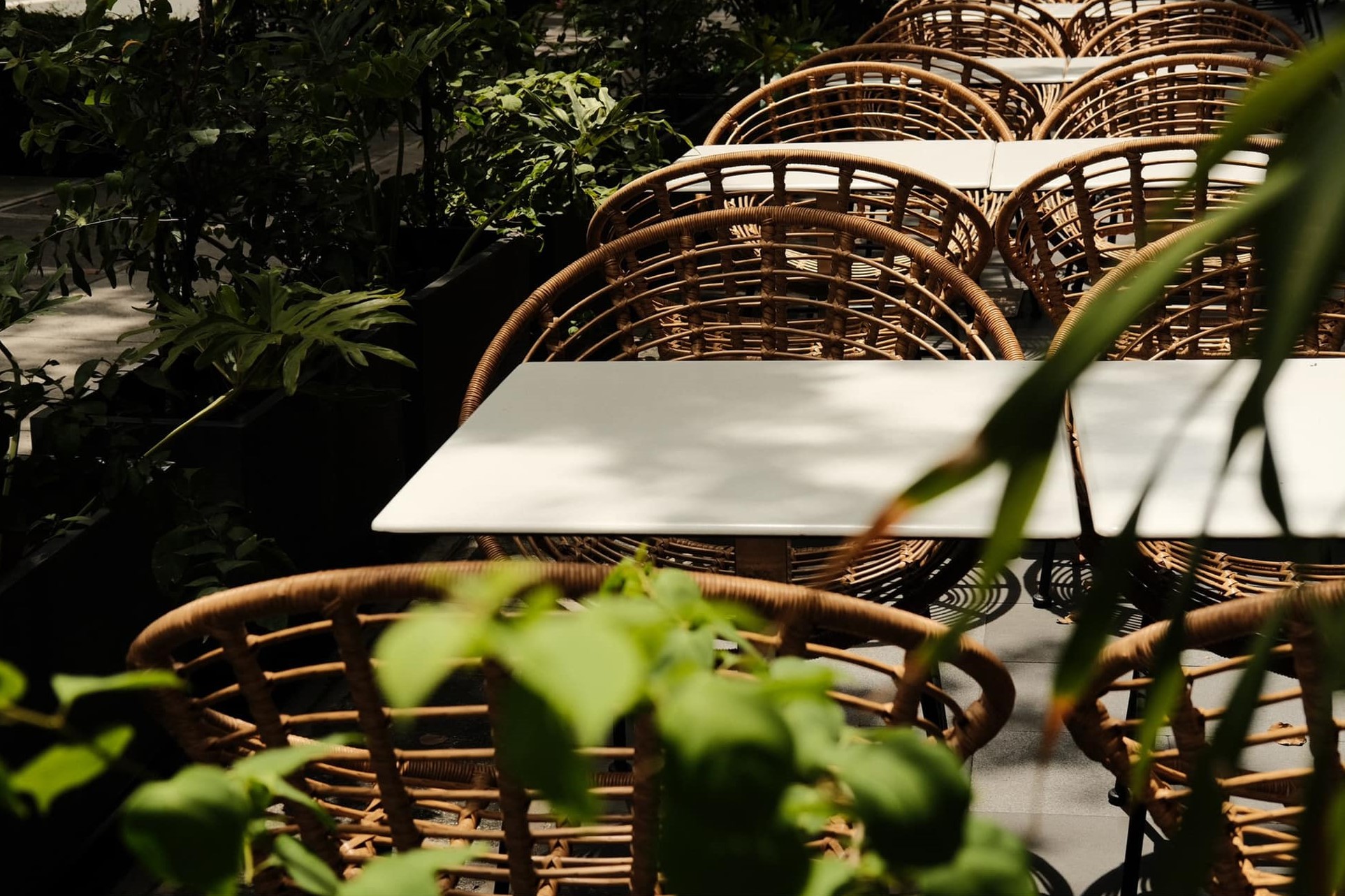 Manila Chrome Film Recipe, by Grant Teng – Film Recipes for Fujifilm ...