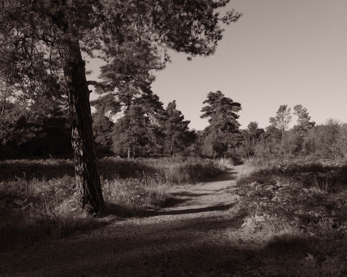 Atarangi Mono, for Deep Tone Retro B&W – Film Recipes for Fujifilm Cameras