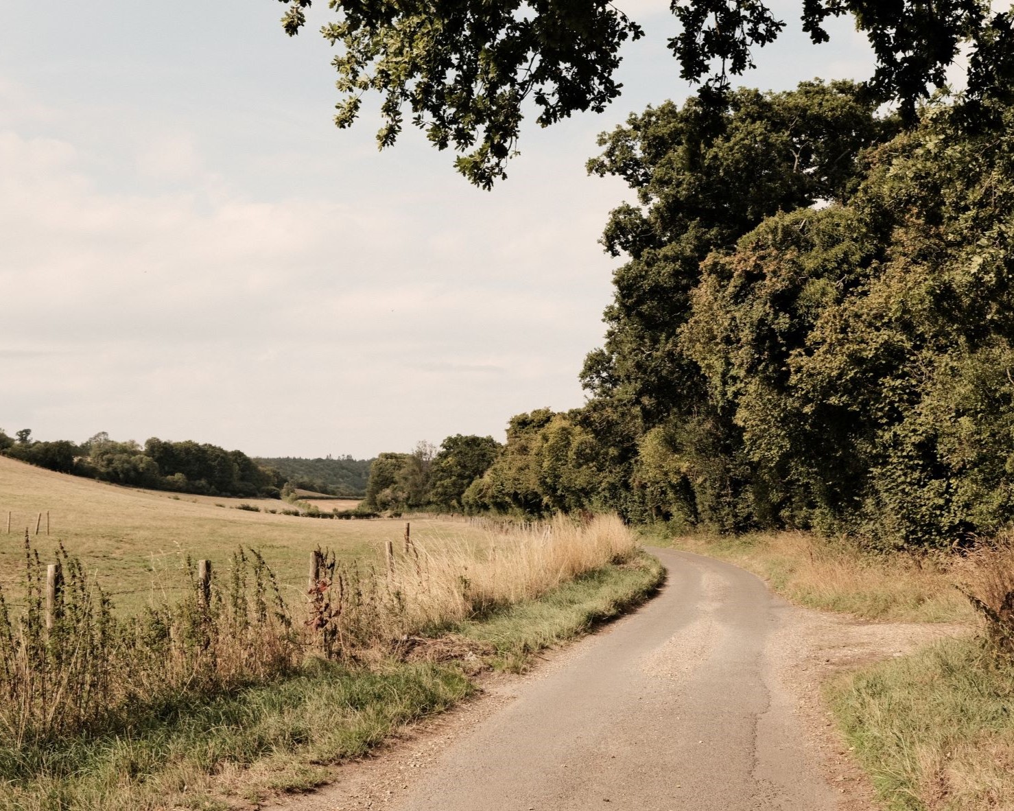 Classic Chrome Film Recipes – Film Recipes for Fujifilm Cameras