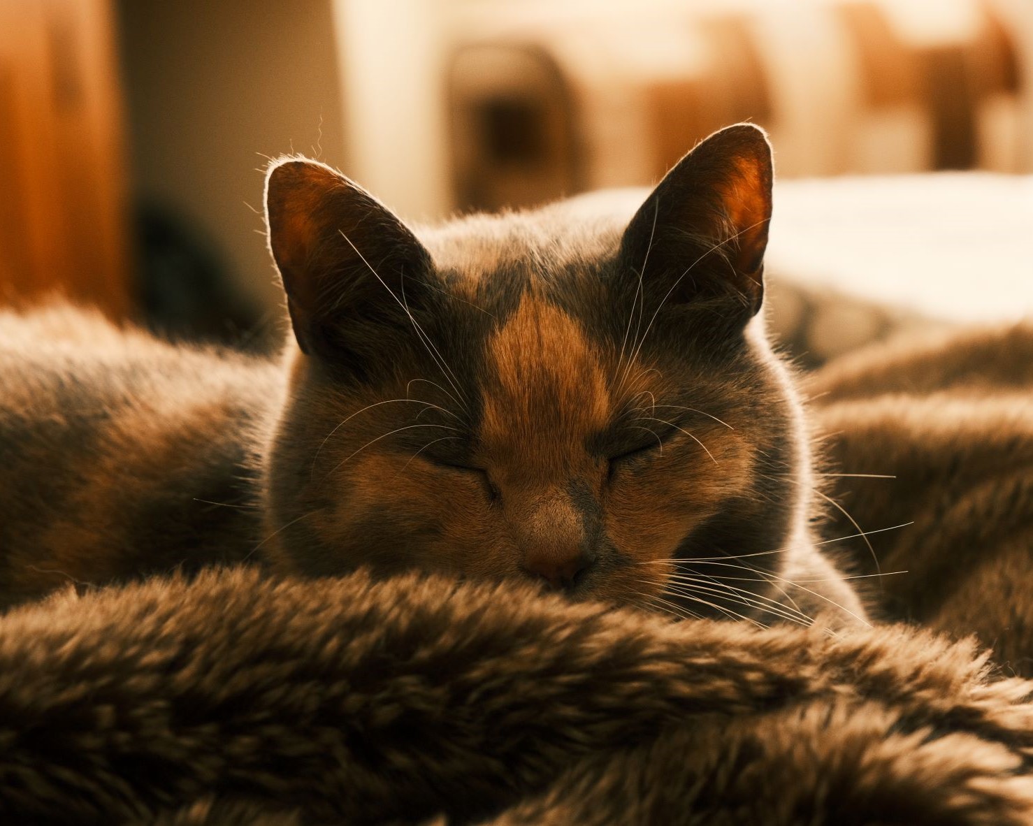 Film Recipes with Strong Stylised Looks – Film Recipes for Fujifilm Cameras