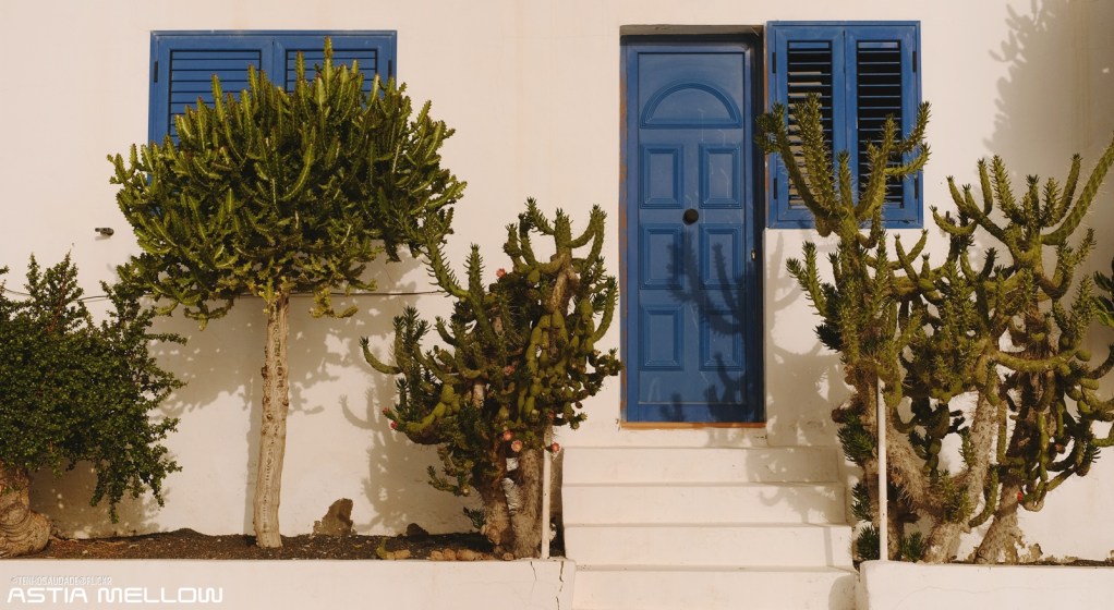 Astia Mellow User Gallery – Film Recipes for Fujifilm Cameras