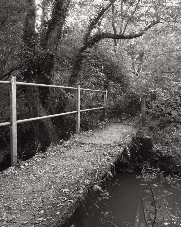 Kodachrome Mono, Versatile Black & White – Film Recipes for Fujifilm ...