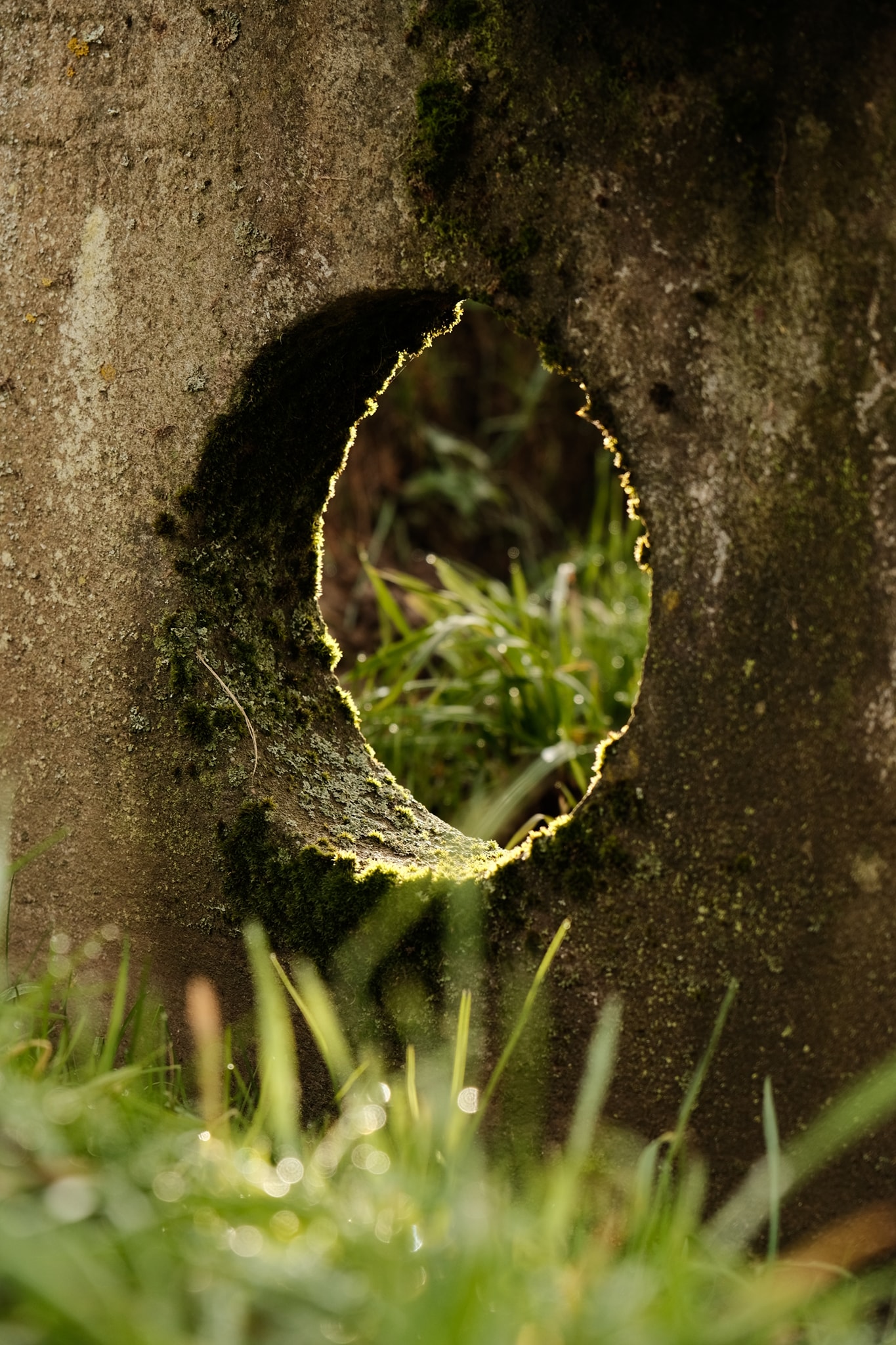 Chromance, Tobias Gruber’s Classic Chrome – Film Recipes for Fujifilm ...