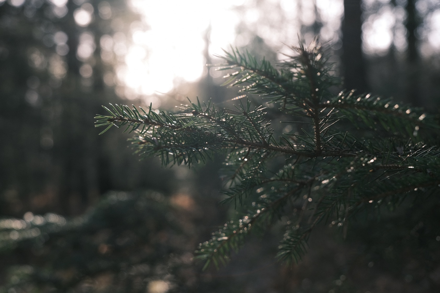 Catch 22, a Cool Recipe for Cold Days – Film Recipes for Fujifilm Cameras