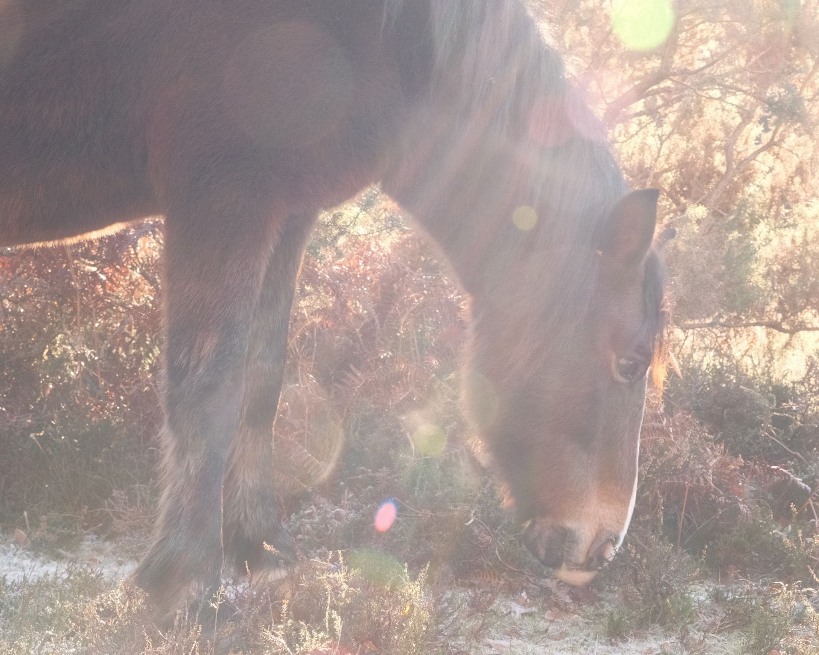 Eterna Film Recipes – Film Recipes for Fujifilm Cameras