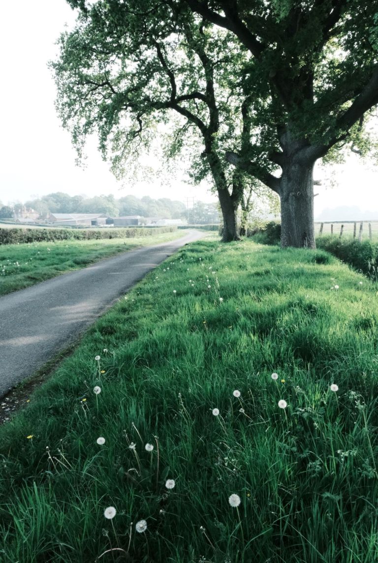 Glacier Blue, Icy Azure Blue Tones – Film Recipes for Fujifilm Cameras