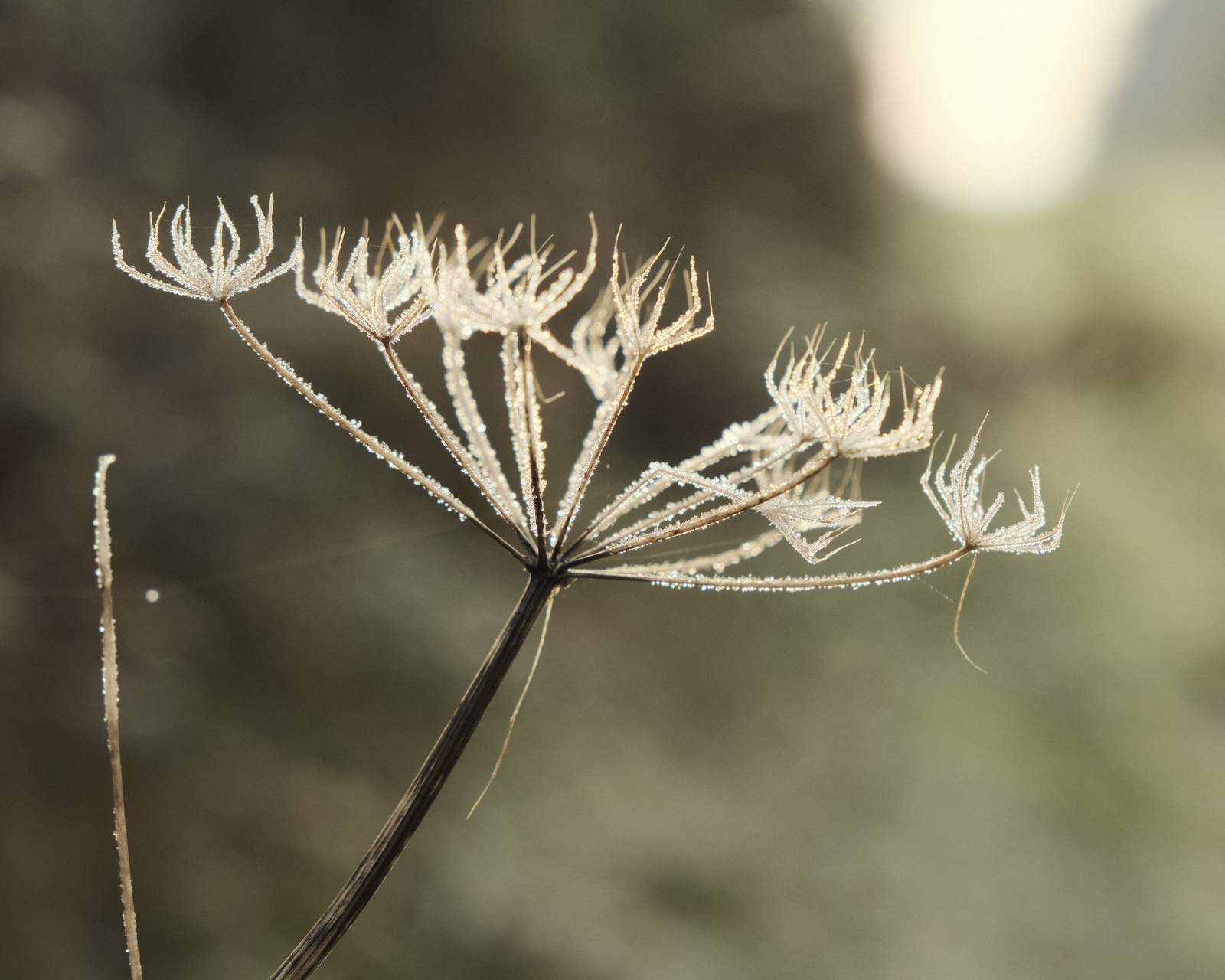 Eterna Film Recipes – Film Recipes for Fujifilm Cameras