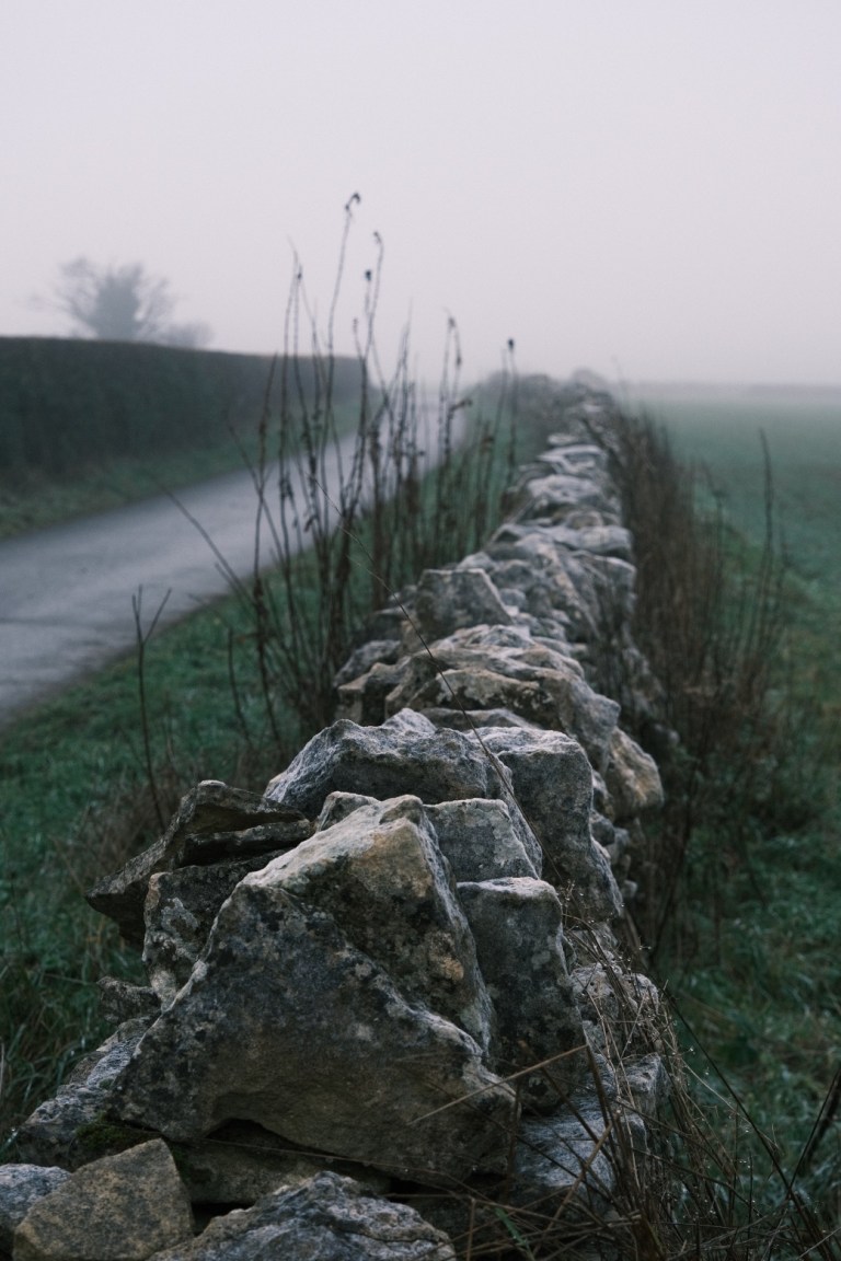 Fujicolor Ambience, a Pure Fujifilm Negative Look – Film Recipes for ...