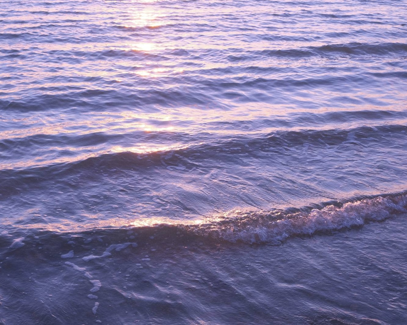 Pro Neg Standard / Pro Neg Hi – Film Recipes for Fujifilm Cameras