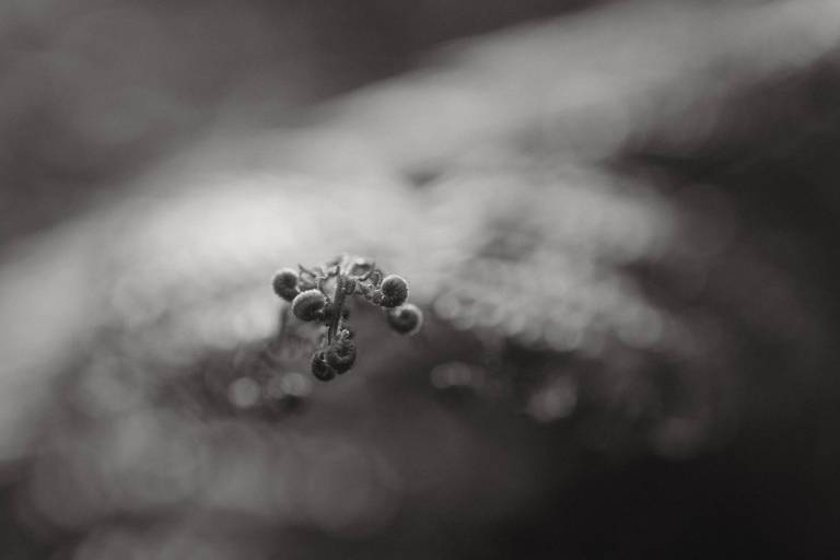 Acroscape, Landscape Acros Recipe – Film Recipes for Fujifilm Cameras