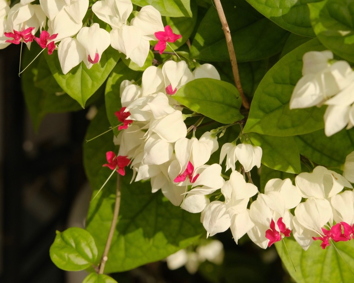 Natural Astia Film Recipe Gallery – Film Recipes for Fujifilm Cameras