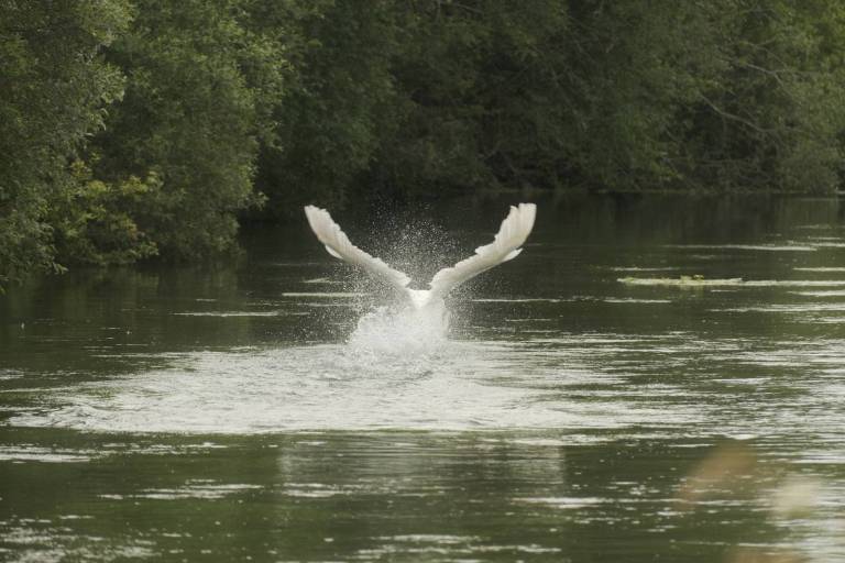 CineStill 400D, Cinematic Soft Tones – Film Recipes for Fujifilm Cameras