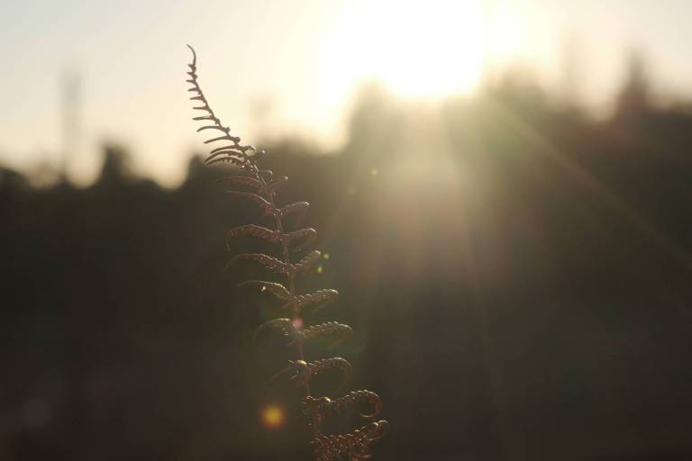 CineStill 400D, Cinematic Soft Tones – Film Recipes for Fujifilm Cameras