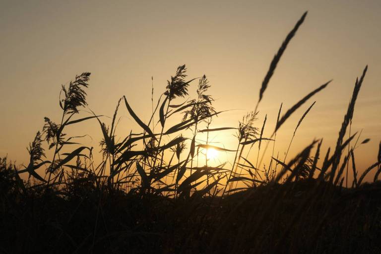 CineStill 400D, Cinematic Soft Tones – Film Recipes for Fujifilm Cameras