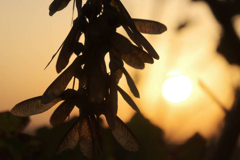 CineStill 400D, Cinematic Soft Tones – Film Recipes for Fujifilm Cameras