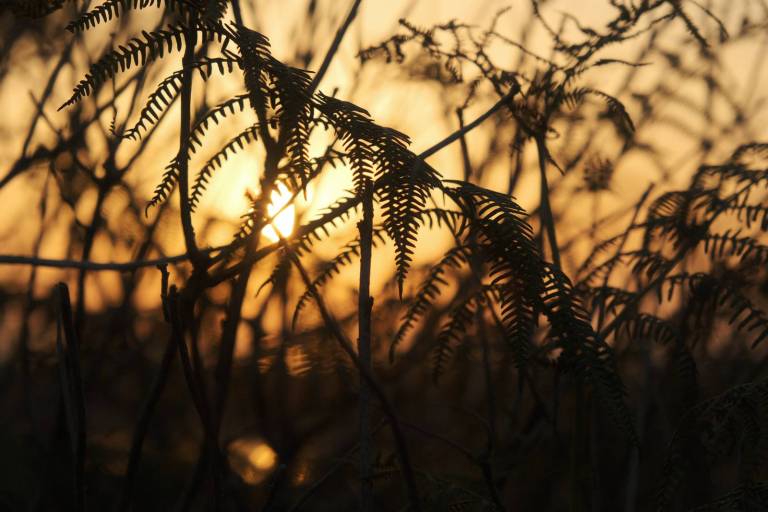 CineStill 400D, Cinematic Soft Tones – Film Recipes for Fujifilm Cameras