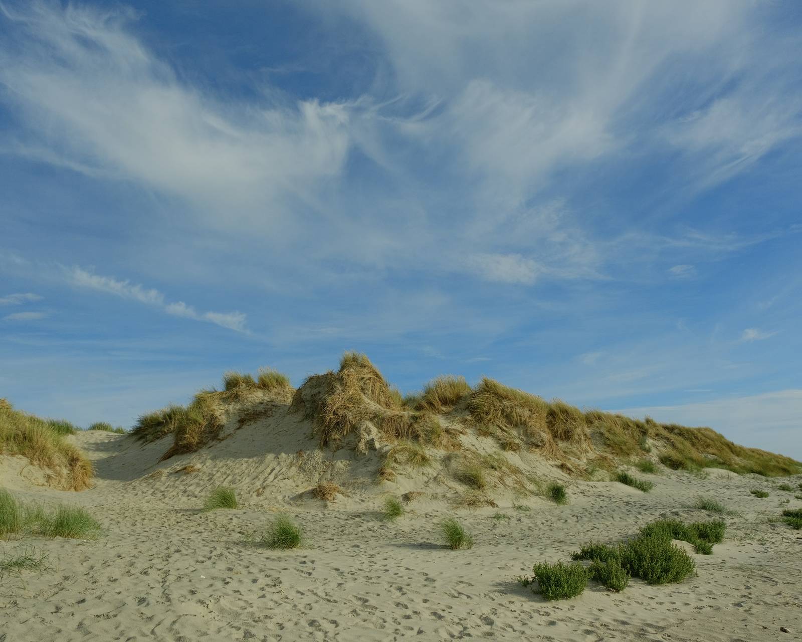 Astia Film Recipes – Film Recipes for Fujifilm Cameras