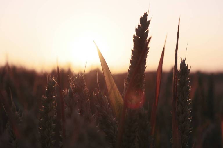 Retroscope, Film Recipe Time Machine – Film Recipes for Fujifilm Cameras