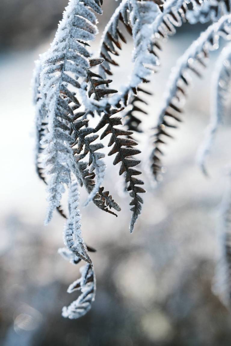 Glacier Blue, Icy Azure Blue Tones – Film Recipes for Fujifilm Cameras