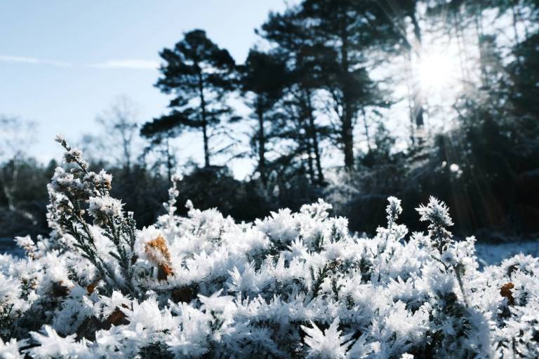 Glacier Blue, Icy Azure Blue Tones – Film Recipes for Fujifilm Cameras