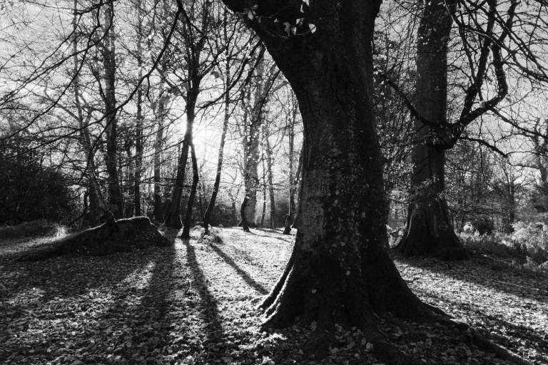 Agfa APX 400, Grainy Mono Film Recipe – Film Recipes for Fujifilm Cameras