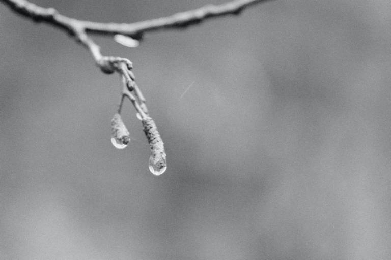 Agfa APX 400, Grainy Mono Film Recipe – Film Recipes for Fujifilm Cameras