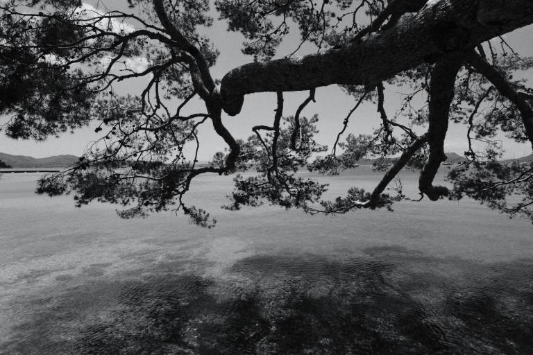 Agfa APX 400, Grainy Mono Film Recipe – Film Recipes for Fujifilm Cameras