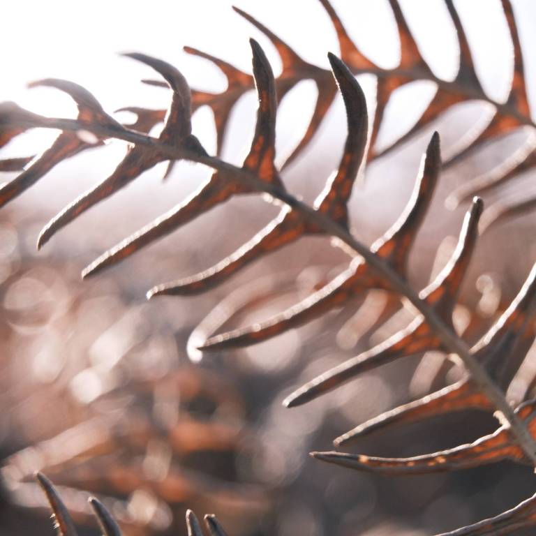 Polaroid SX70 Film Recipe – Film Recipes for Fujifilm Cameras