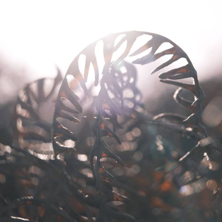 Polaroid SX70 Film Recipe – Film Recipes for Fujifilm Cameras