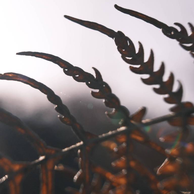 Polaroid SX70 Film Recipe – Film Recipes for Fujifilm Cameras