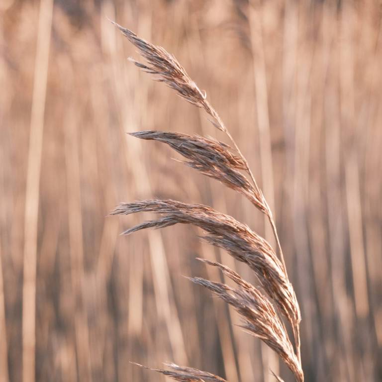 Polaroid SX70 Film Recipe – Film Recipes for Fujifilm Cameras