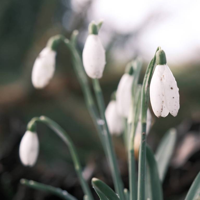 Polaroid SX70 Film Recipe – Film Recipes for Fujifilm Cameras