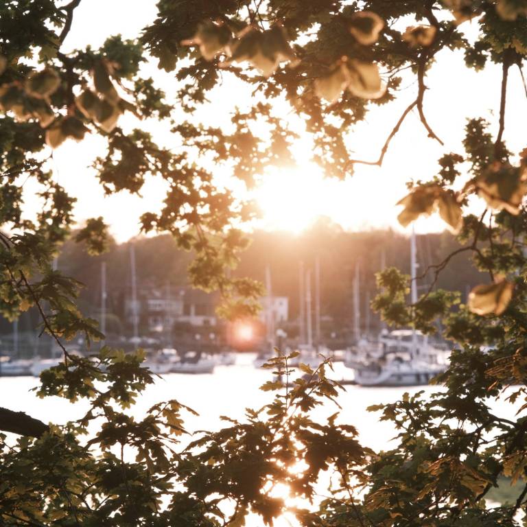 Polaroid SX70 Film Recipe – Film Recipes for Fujifilm Cameras