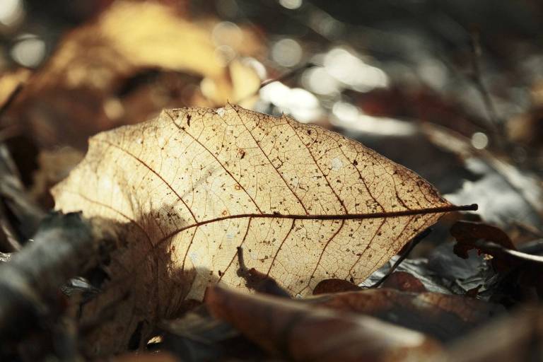 Arthouse Bleach, Faded Colour Film Recipe – Film Recipes for Fujifilm ...