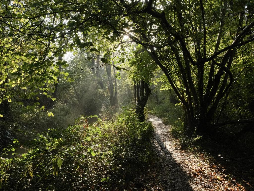 Astia Film Recipes – Film Recipes for Fujifilm Cameras