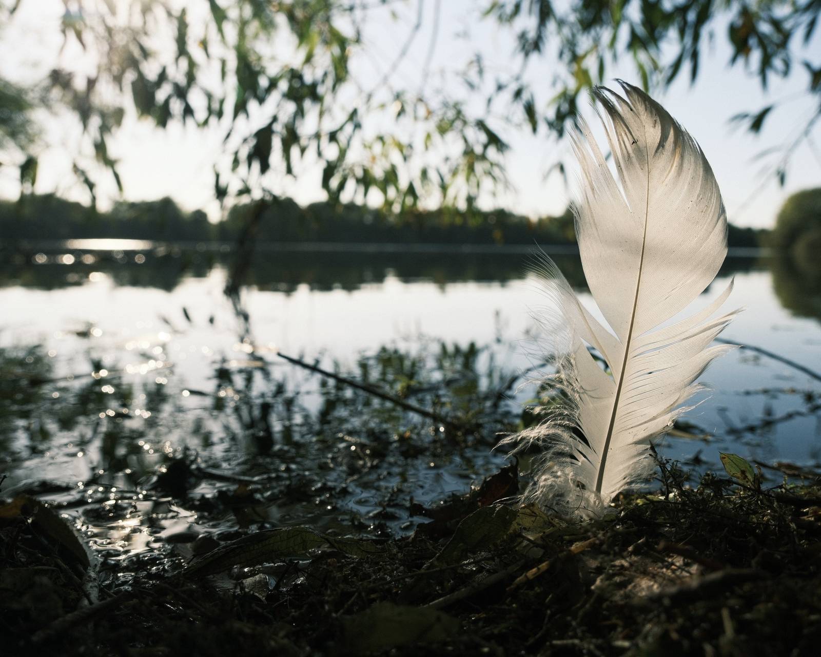 Tomas Derner’s Classic Negative – Film Recipes for Fujifilm Cameras