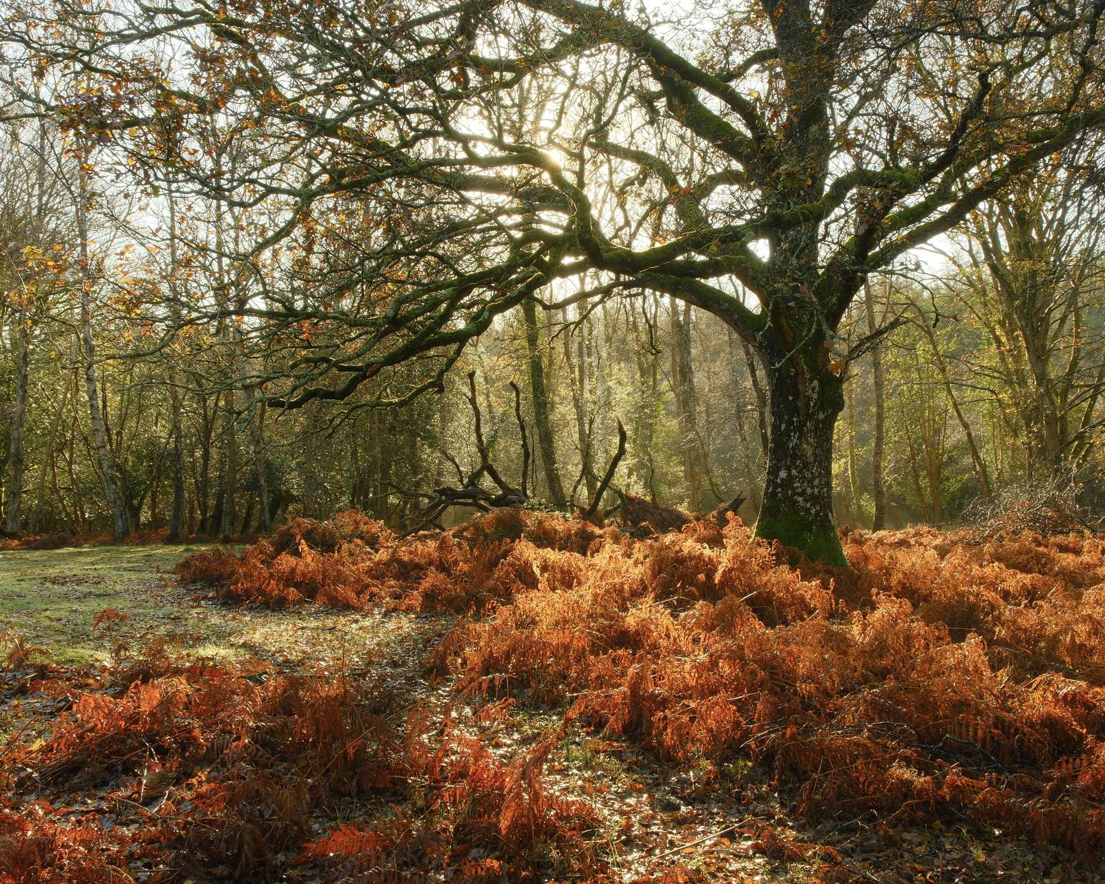 Afternoon Delight, When it’s Right, it’s Right – Film Recipes for ...