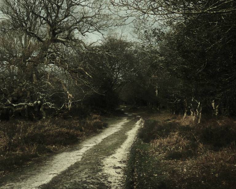 Film Recipes for Fujifilm Cameras – Nostalgic, soft tone and vintage ...